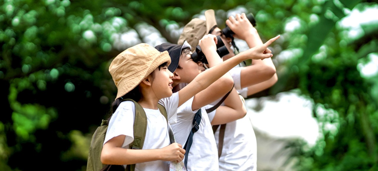 Better Income Approach to Income Investing